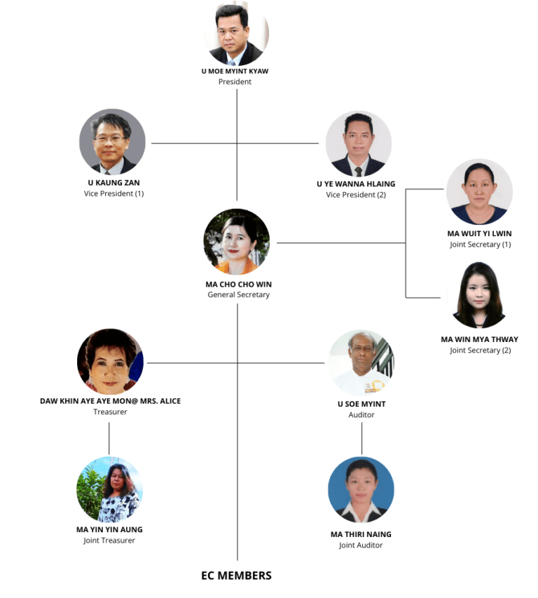 Executive Committee - AMAUT